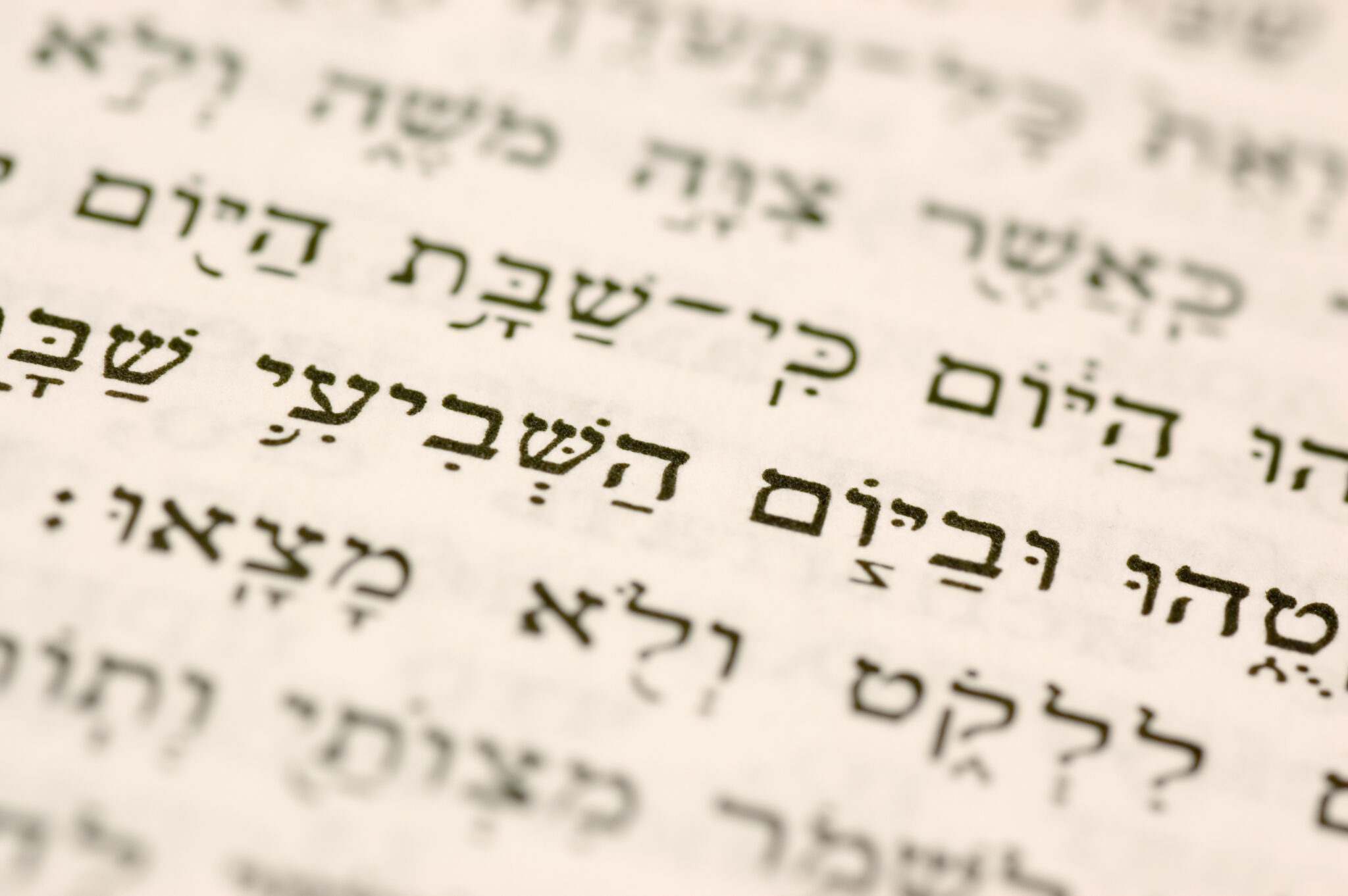 Vote Herut – Herut North America: The Jabotinsky Movement